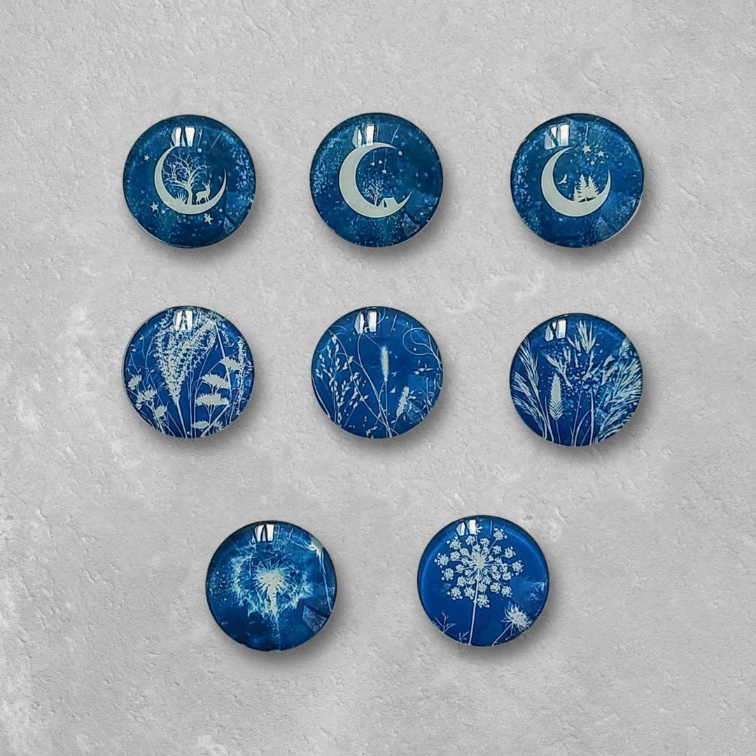 Set of 8 Glass Magnets: Decorative Set for Magnetic Whiteboard or ...