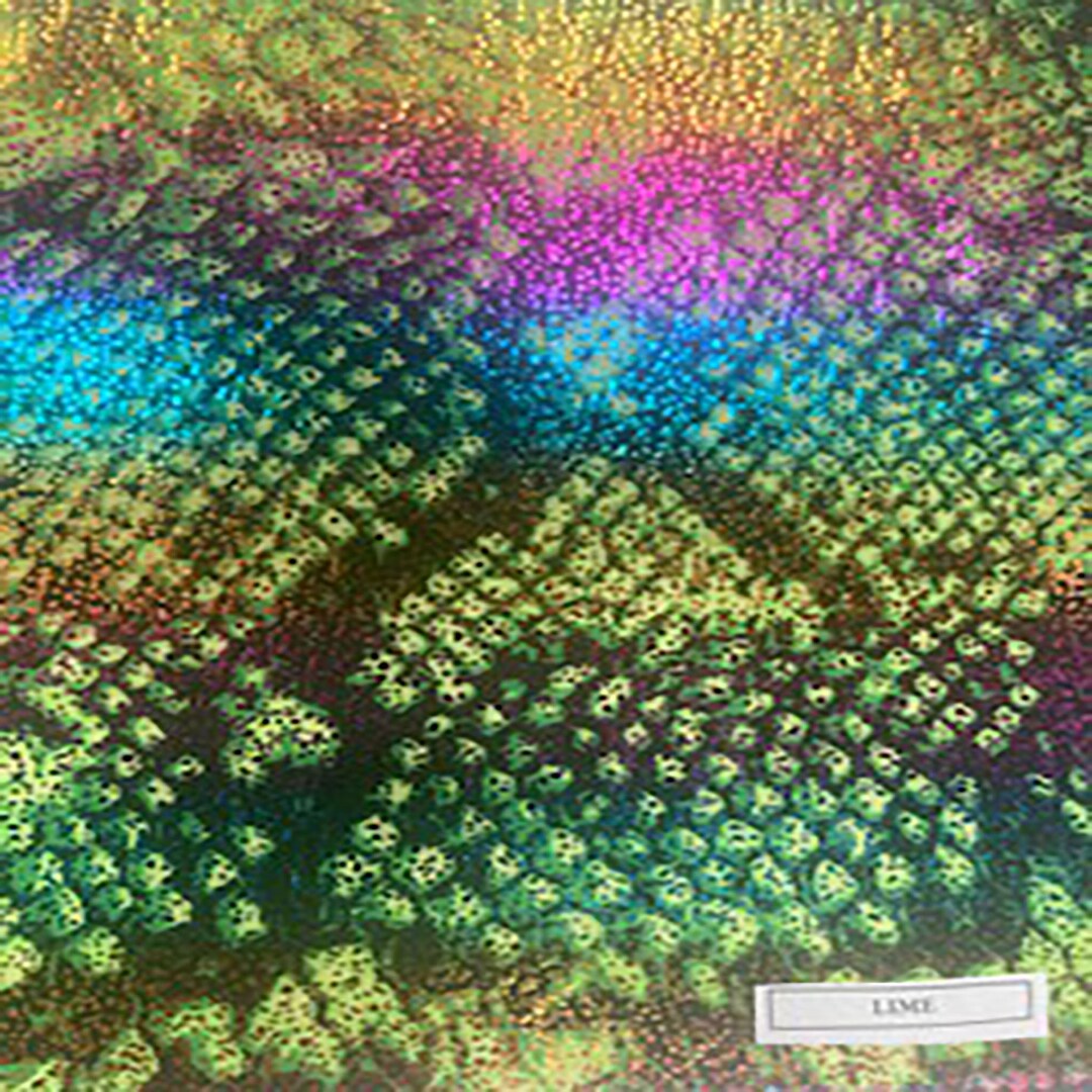 4 Way Stretch Nylon Spandex Fabric Shinny Anaconda Print Spandex Palace ...