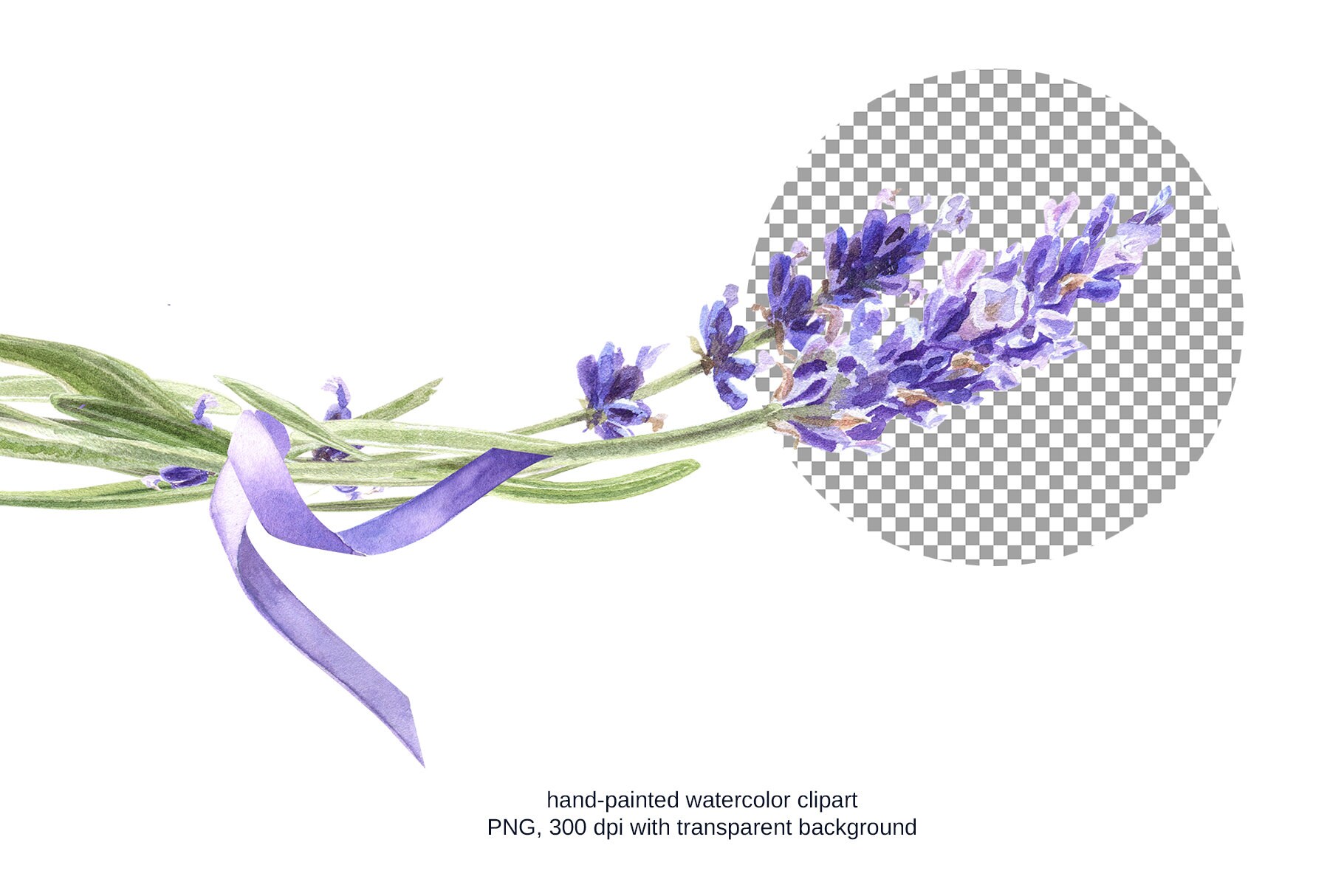 Watercolor Lavender Clipart Vintage Lavandula Flower Purple - Etsy