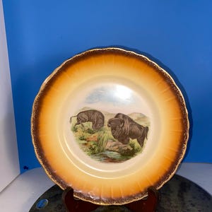 Pair Antique Buffalo 9 1/4” Plates. Beautiful Gold Brown on Rim Gold ...