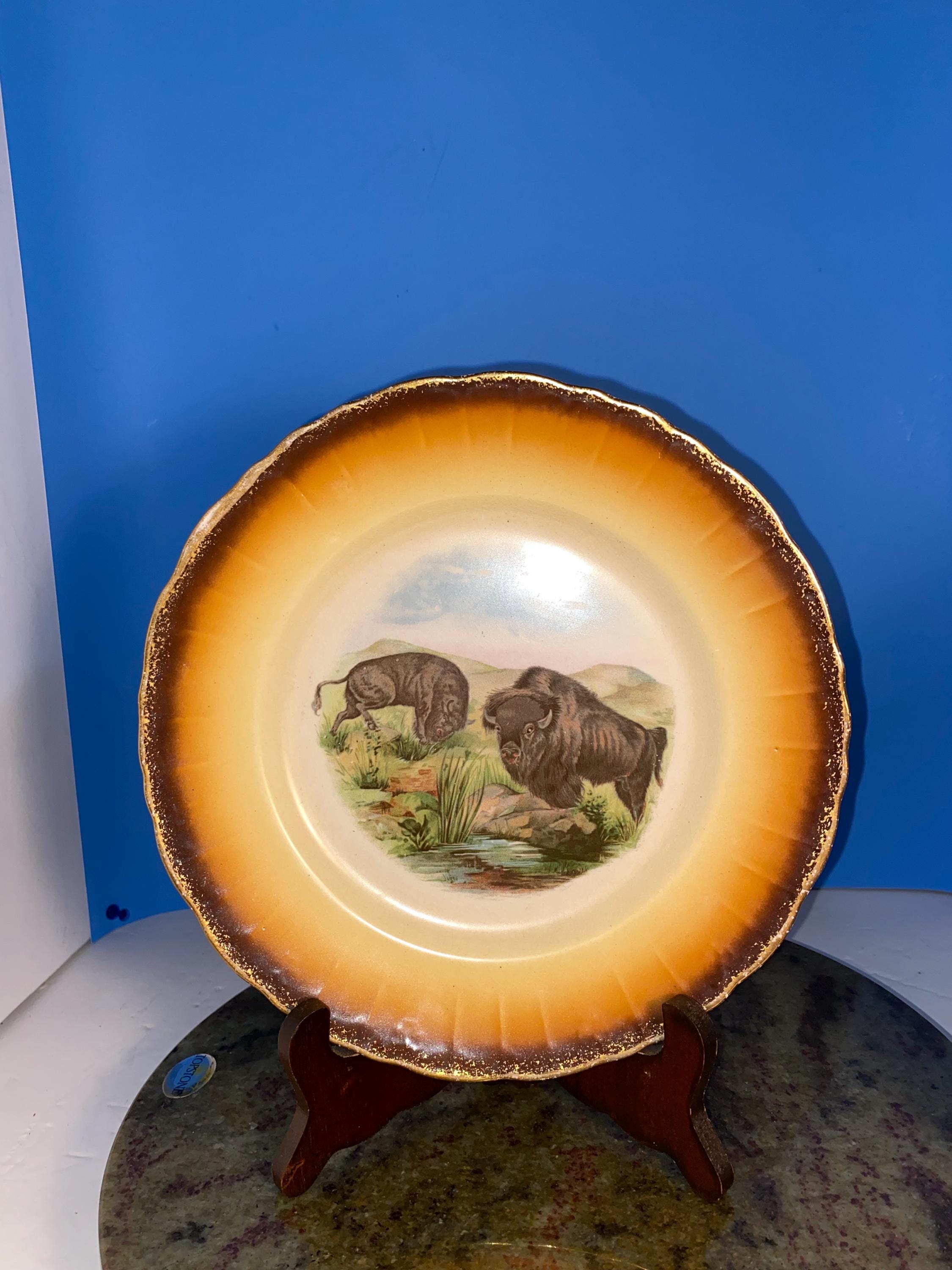 Pair Antique Buffalo 9 1/4” Plates. Beautiful Gold Brown on Rim Gold ...