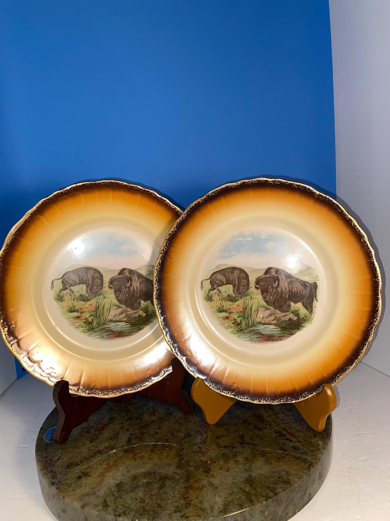 Pair Antique Buffalo 9 1/4” Plates. Beautiful Gold Brown on Rim Gold ...