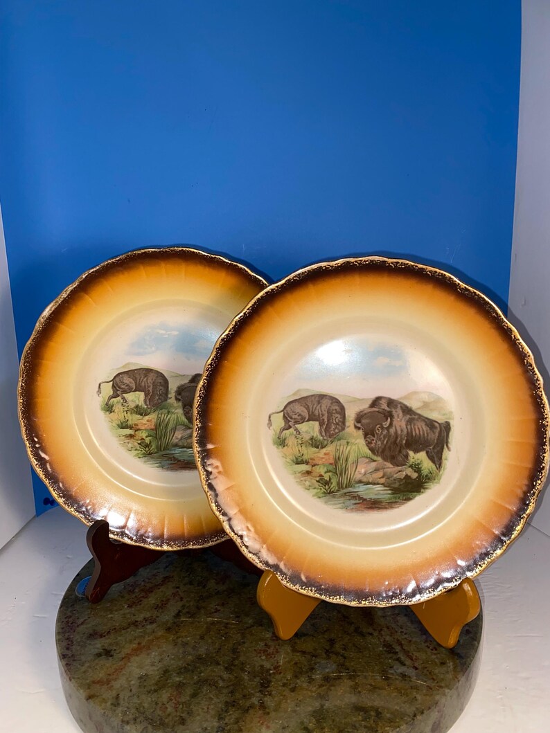 Pair Antique Buffalo 9 1/4” Plates. Beautiful Gold Brown on Rim Gold ...