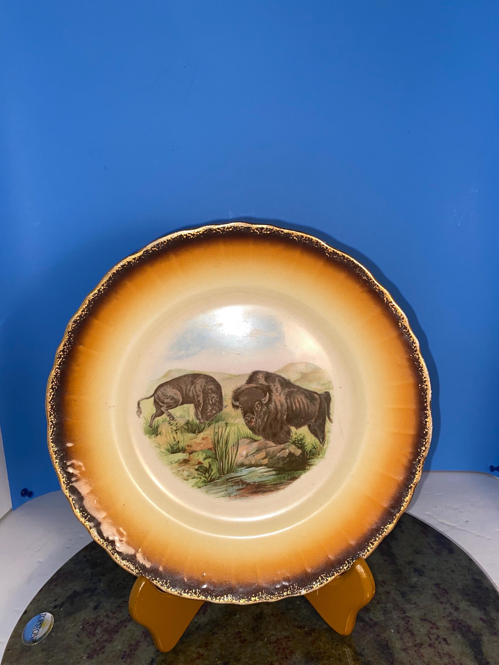 Pair Antique Buffalo 9 1/4” Plates. Beautiful Gold Brown on Rim Gold ...