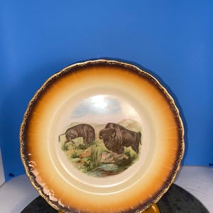 Pair Antique Buffalo 9 1/4” Plates. Beautiful Gold Brown on Rim Gold ...