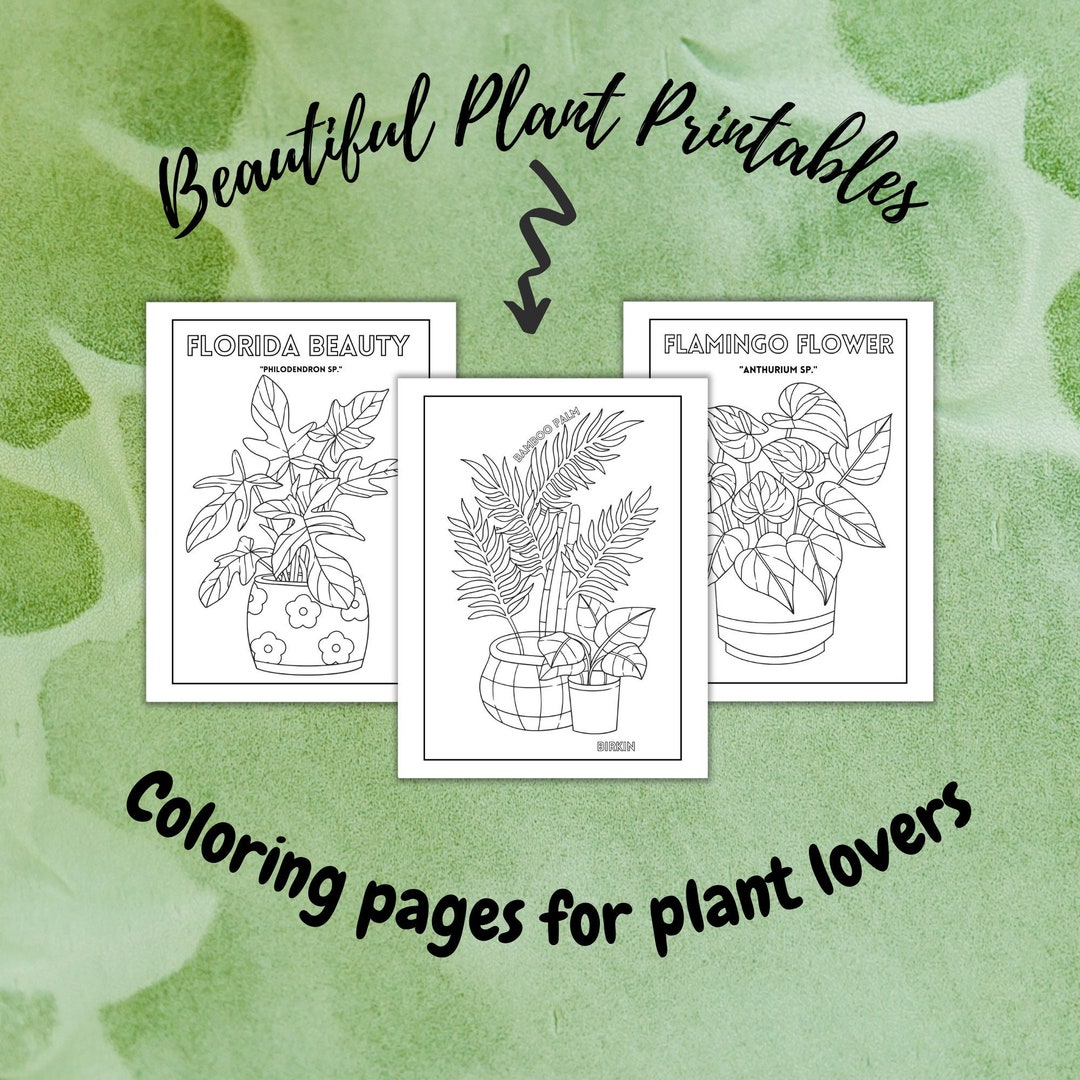 Full Size Plant Coloring Pages - Etsy
