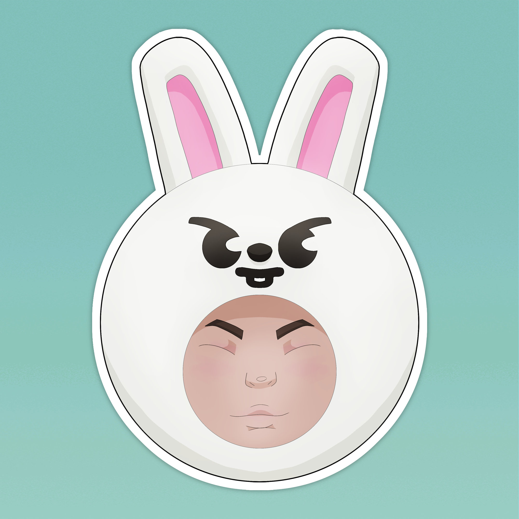 Stray Kids Skzoo Stickers Bang Chan, Changbin, Hyunjin, Lee Know, Han ...