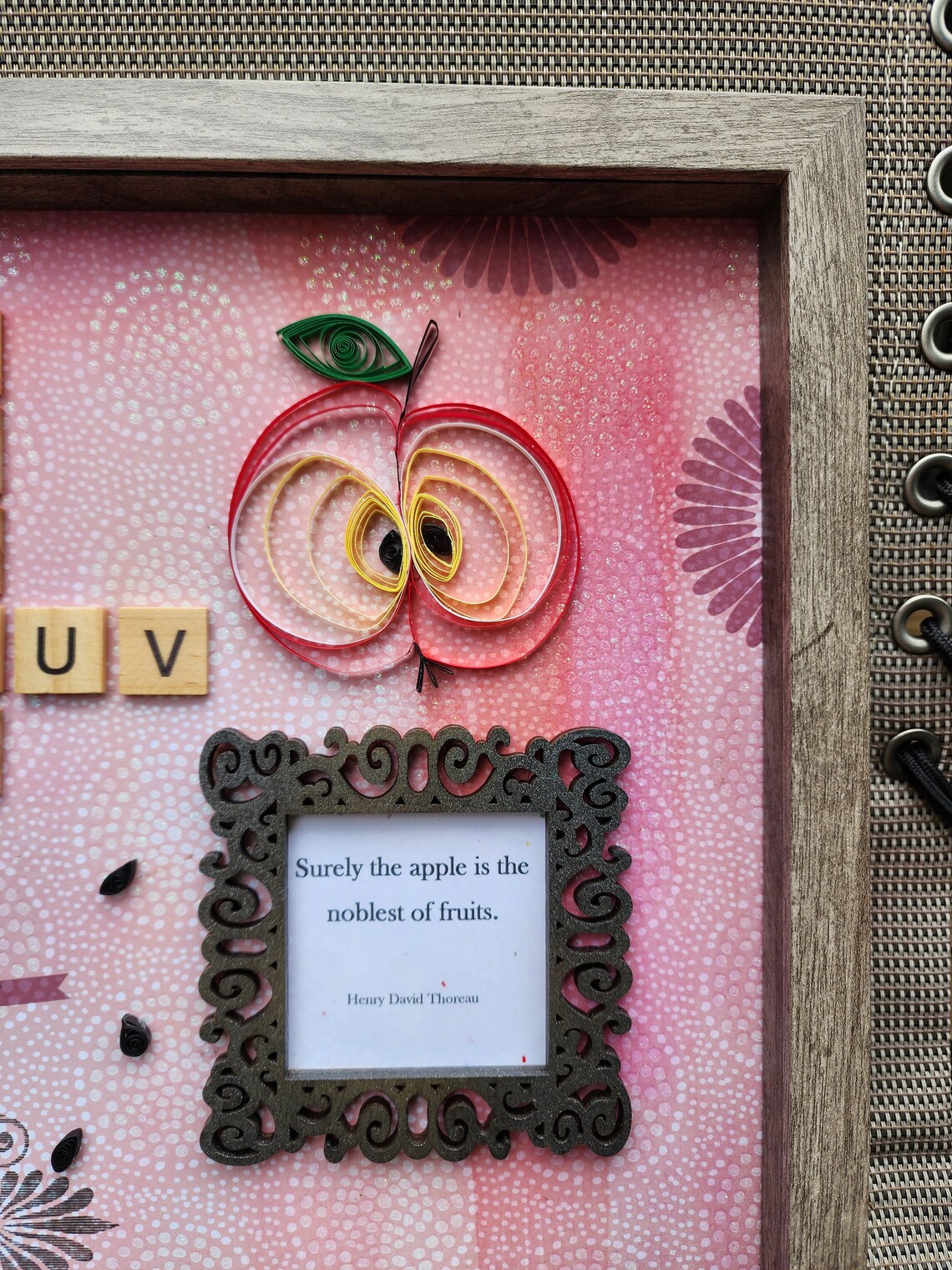 Apple Shadow Box - Etsy