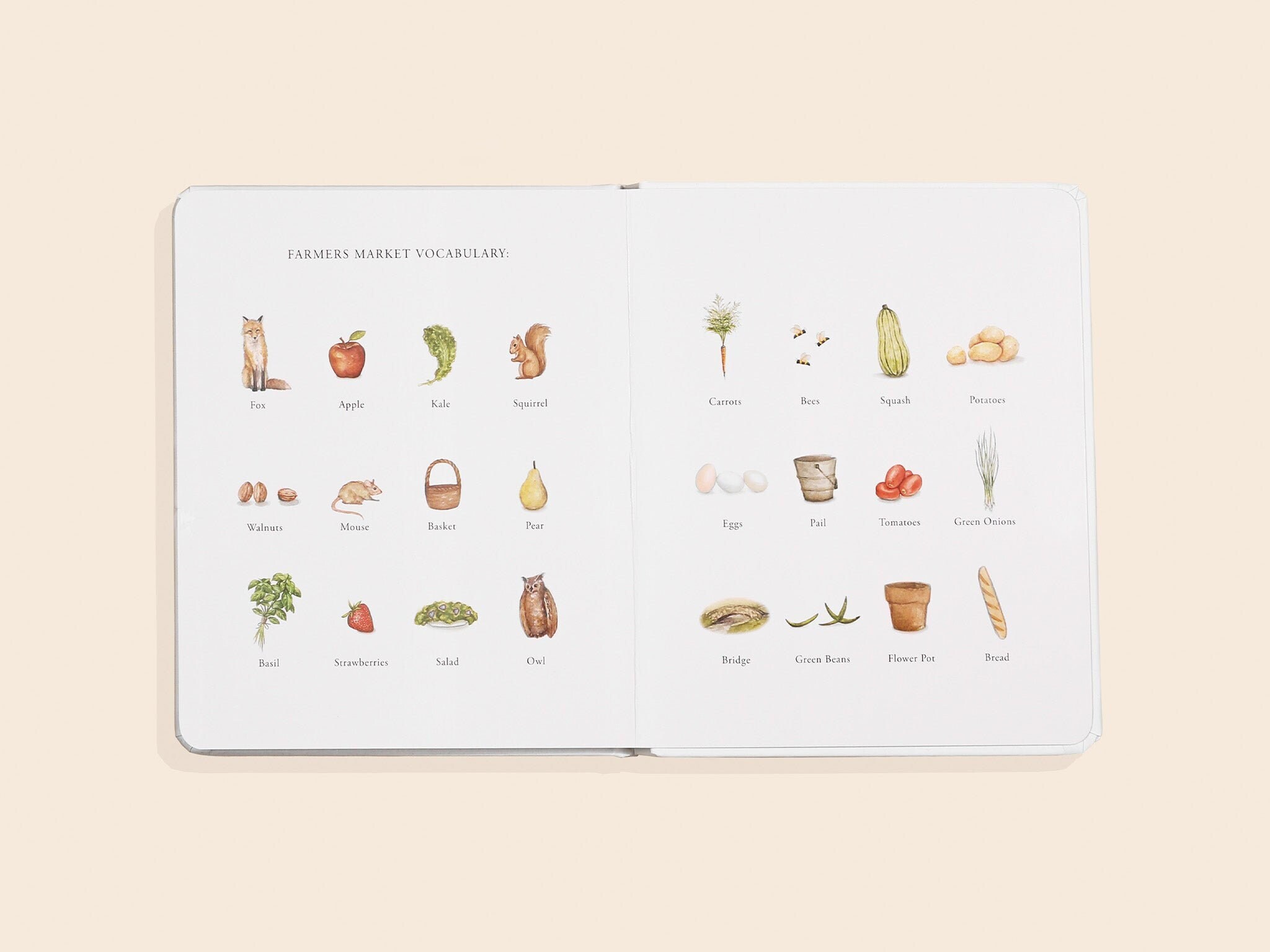 Our Little Adventures to the Farmers Market: A Kids Board Book - Etsy