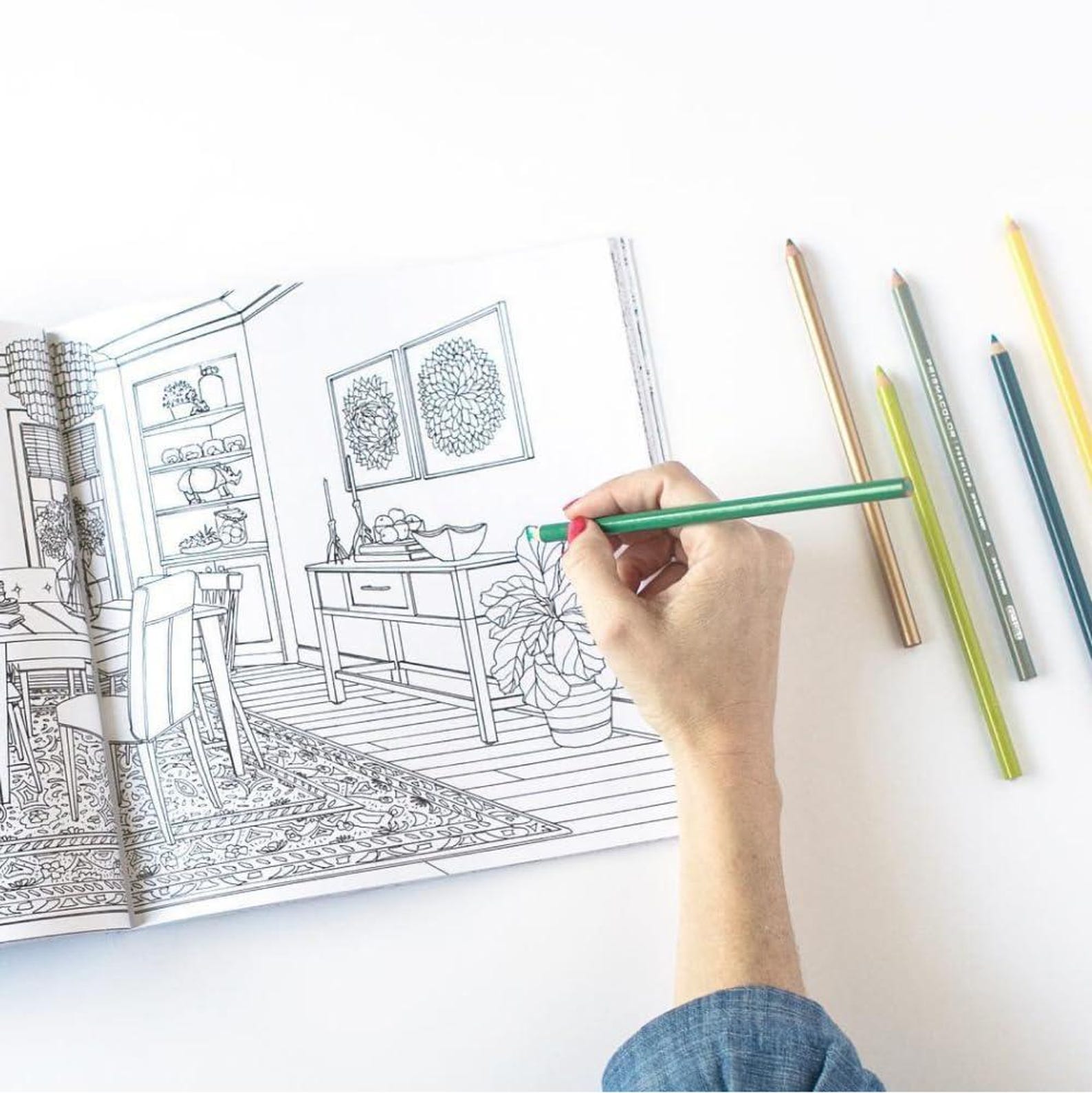 Color at Home: A Young House Love Coloring Book (premium Adult Coloring ...