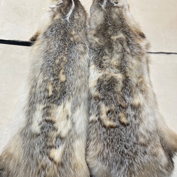 Badger Skins - Etsy