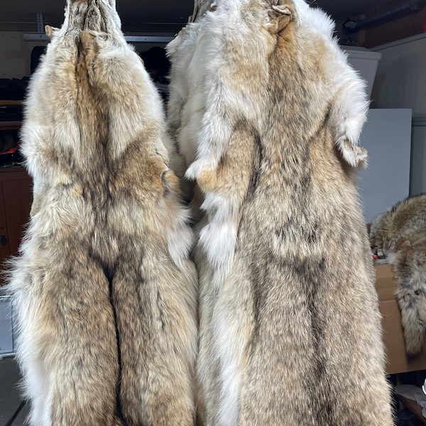 Costume Wolf Pelt - Etsy