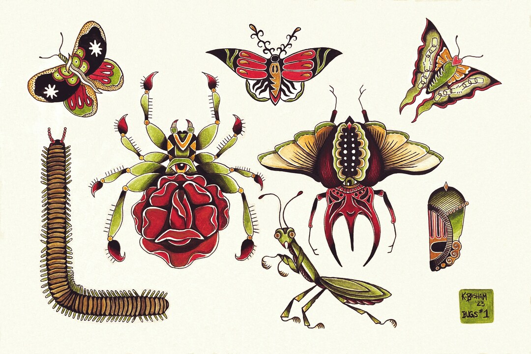 Americana Traditional Insect Flash Sheet - Etsy