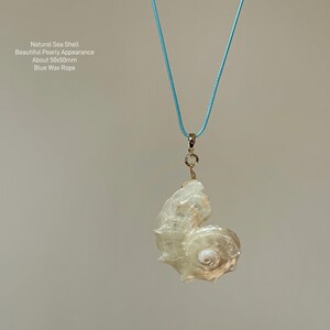 Stunning Sea Shell Choker, Natural Shell Necklace, Summer Beach ...