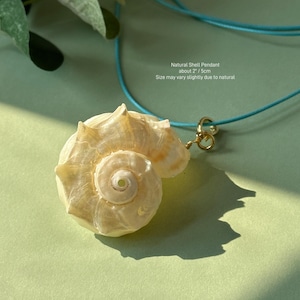 Natural Sea Shell Choker • Summer Beachy Mermaid Necklace • Boho Nature ...