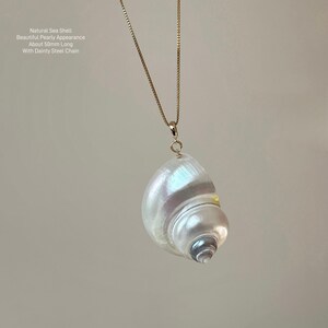 Gorgeous Sea Shell Necklace Set, Natural Aquamarine Necklace, Stunning ...