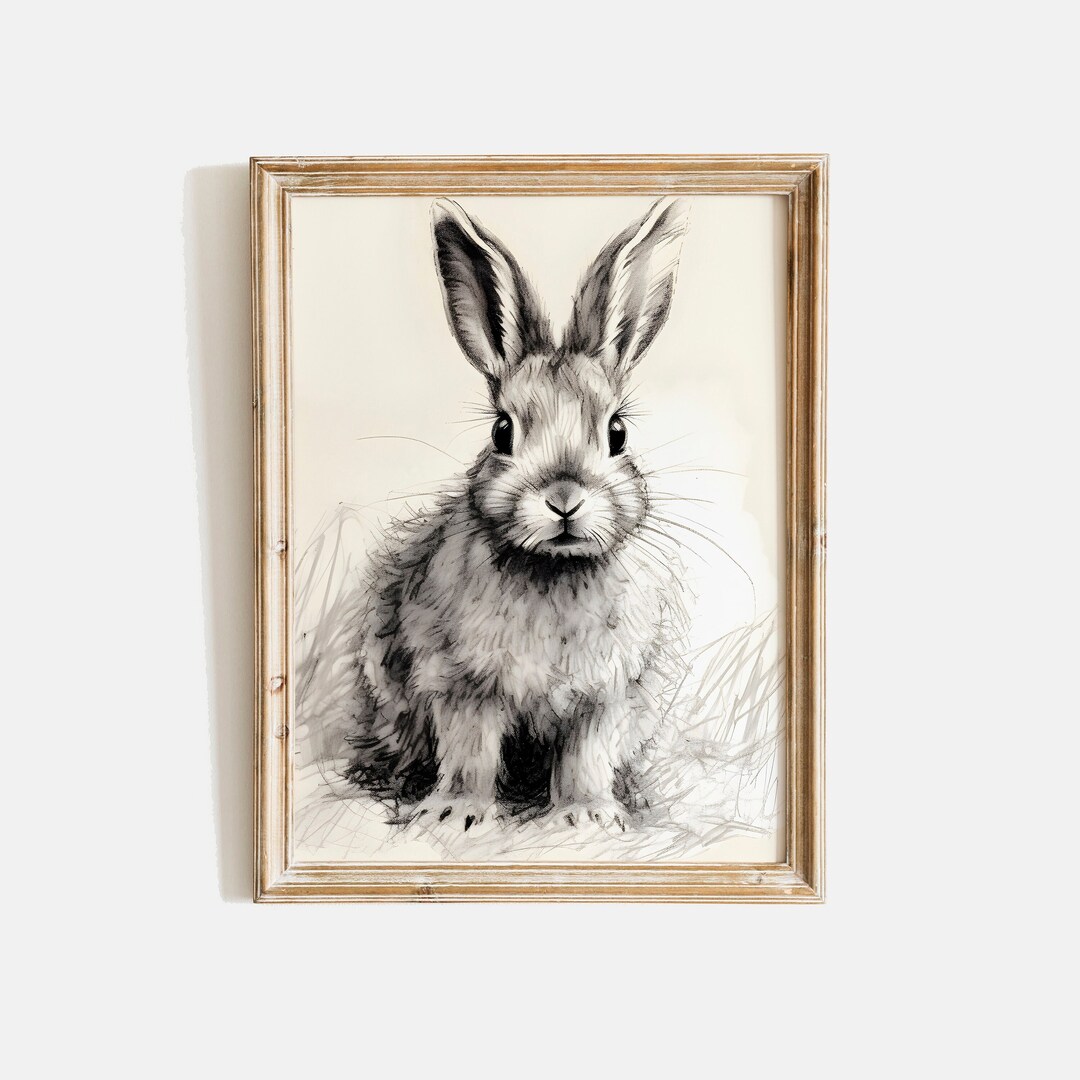 Vintage Rabbit Drawing, Antique Rabbit Sketch, Antique Bunny Print ...