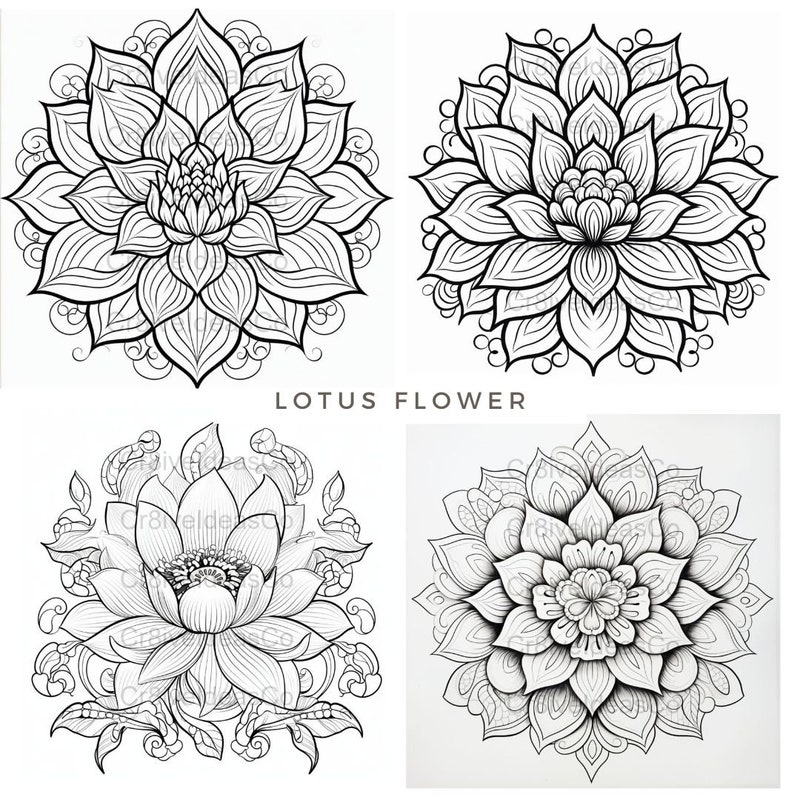 Lotus Mandala - Etsy