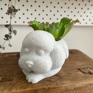 Poodle Planter - Adorable Sleeping Poodle Dog Planter - 3D Printed for ...