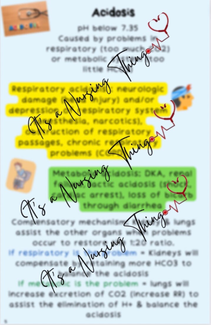Acid-base & ABG Review Notes - Etsy