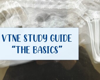 VTNE STUDY GUIDE Pharmacology - Etsy
