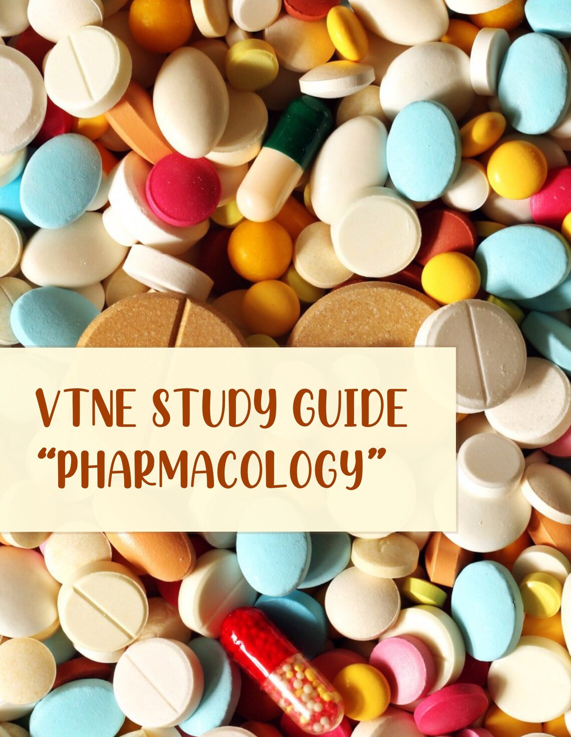 VTNE STUDY GUIDE - Pharmacology - Etsy