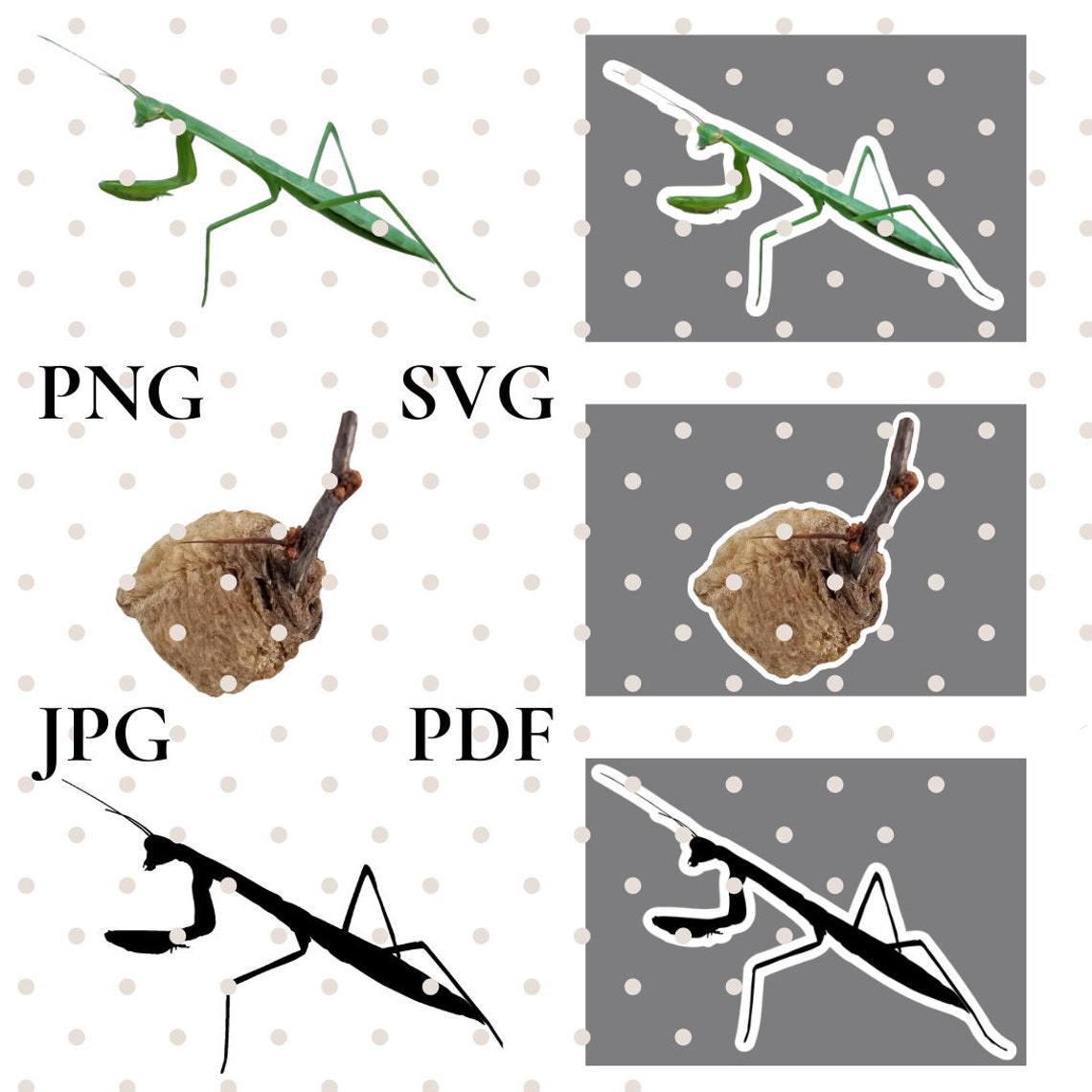 Praying Mantis Digital Download, Praying Mantis Egg, Cricut File ...