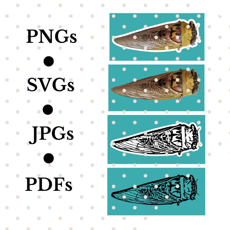 Cicada Digital Download, Cicada Cricut File, Cicada Clipart, Insect ...