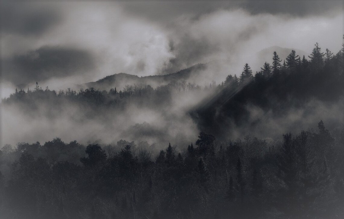 Forest Fog Mural Wallpaper - Etsy
