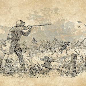 Retro Engraved Quail Hunting Scene Thin Canvas - Etsy