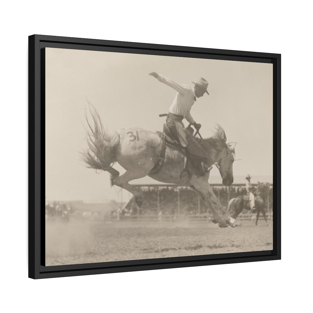 Cowboy Bronc Riding Rodeo Photo Black Framed Canvas Vintage Wall Art ...