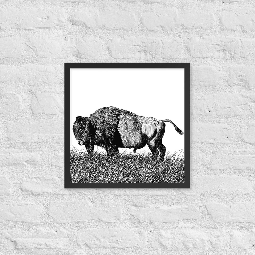 American Buffalo Ink Drawing Art Framed Poster Bison Wildlife Artwork ...