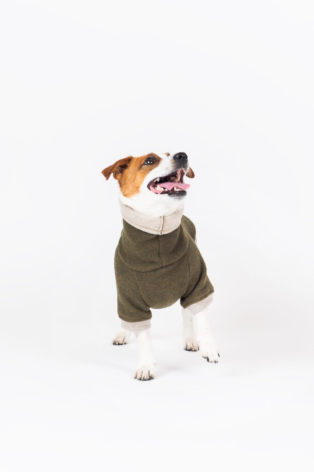 100% Merino Wool Dog Fleece Pullover With Sleeves "rita" Moss Green - Etsy