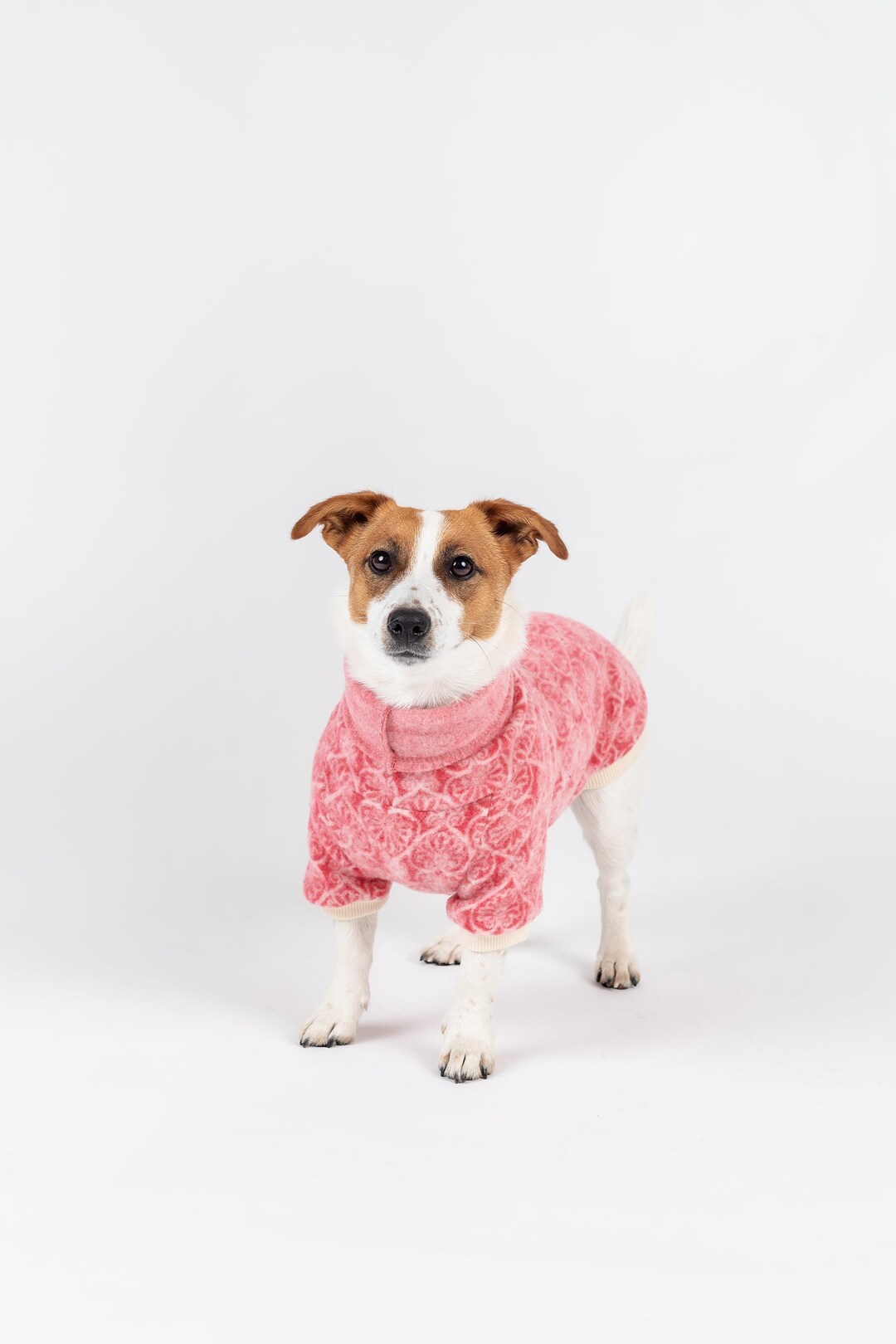 100% Merino Wool Dog Fleece Pullover With Sleeves rita Berry Hearts - Etsy