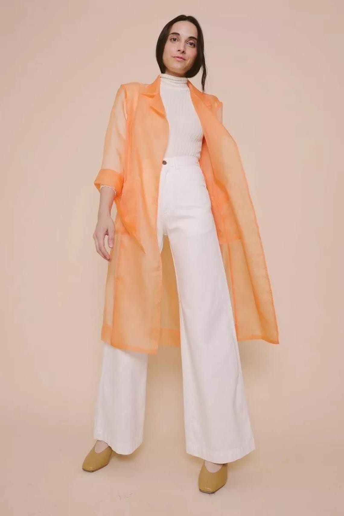 Sheer Classic Organza Jacket Overlay. Transparent Jacket. Organza ...