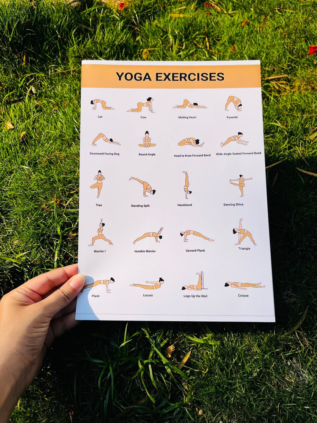 Yoga Exercises, Yoga Poses, Yoga Exercise Chart, Yoga Poses Chart, Yoga ...