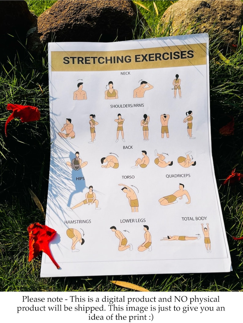 Stretching Exercise Chart: Illustrated Workout Guide (digital Download ...