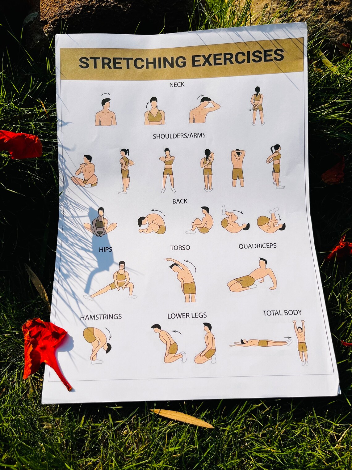 Stretching Exercises, Stretching Exercises Chart, Stretching Workout ...
