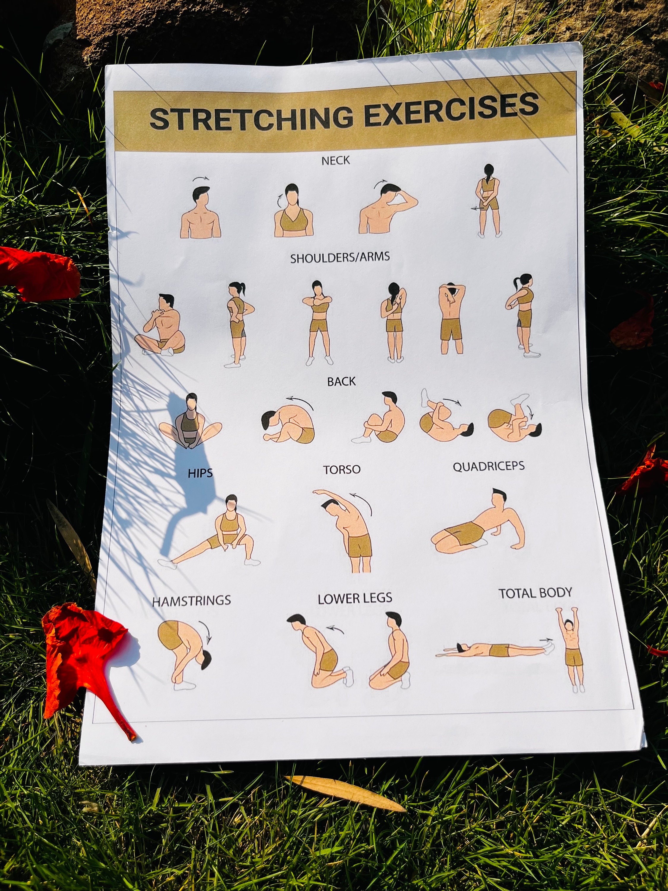 Stretching Exercises, Stretching Exercises Chart, Stretching Workout ...