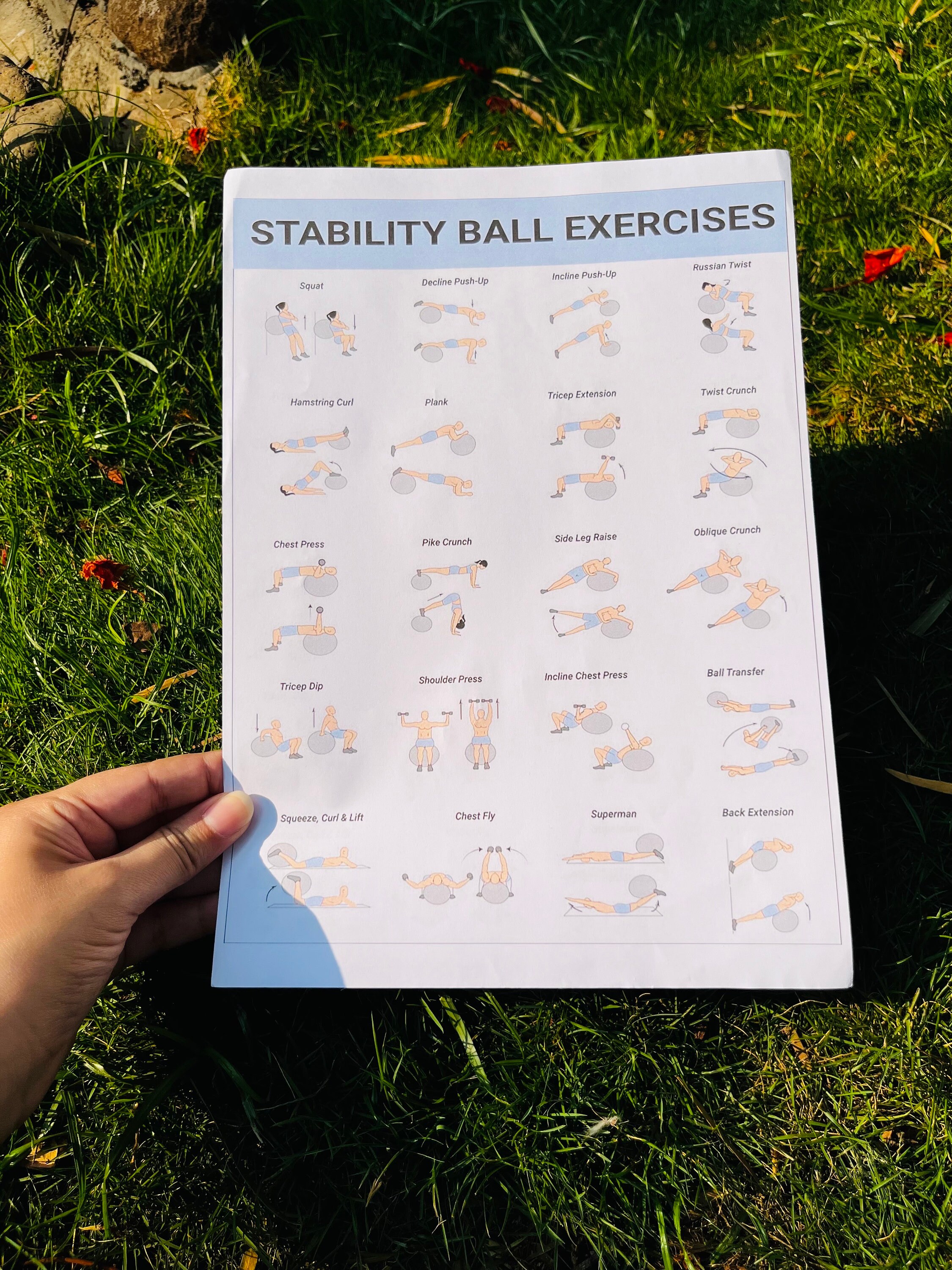 Stability Ball Workout Chart, Stability Ball Workout Poster, Stability ...