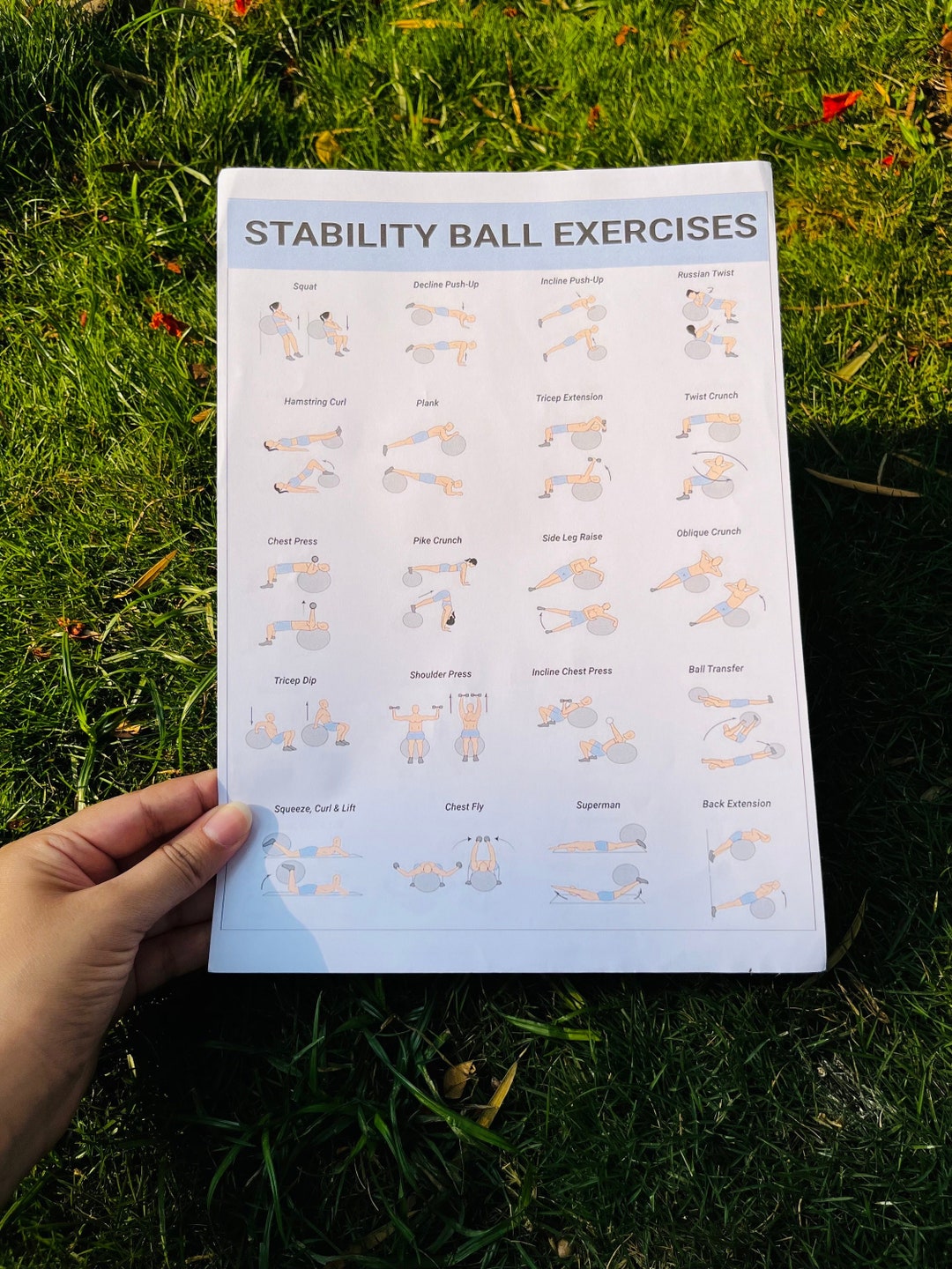 Stability Ball Workout Chart, Stability Ball Workout Poster, Stability ...