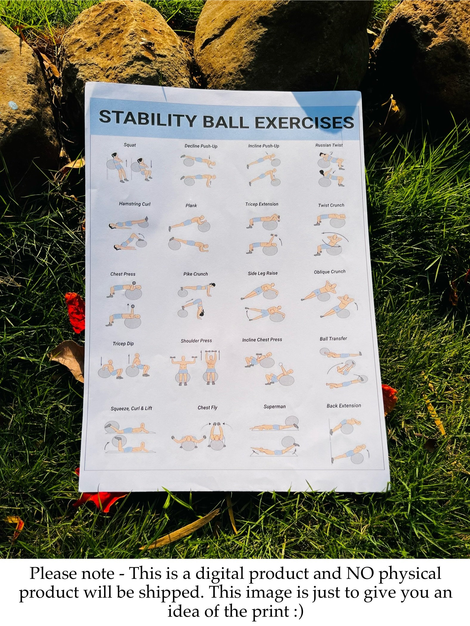 Stability Ball Workout Chart, Stability Ball Workout Poster, Stability ...
