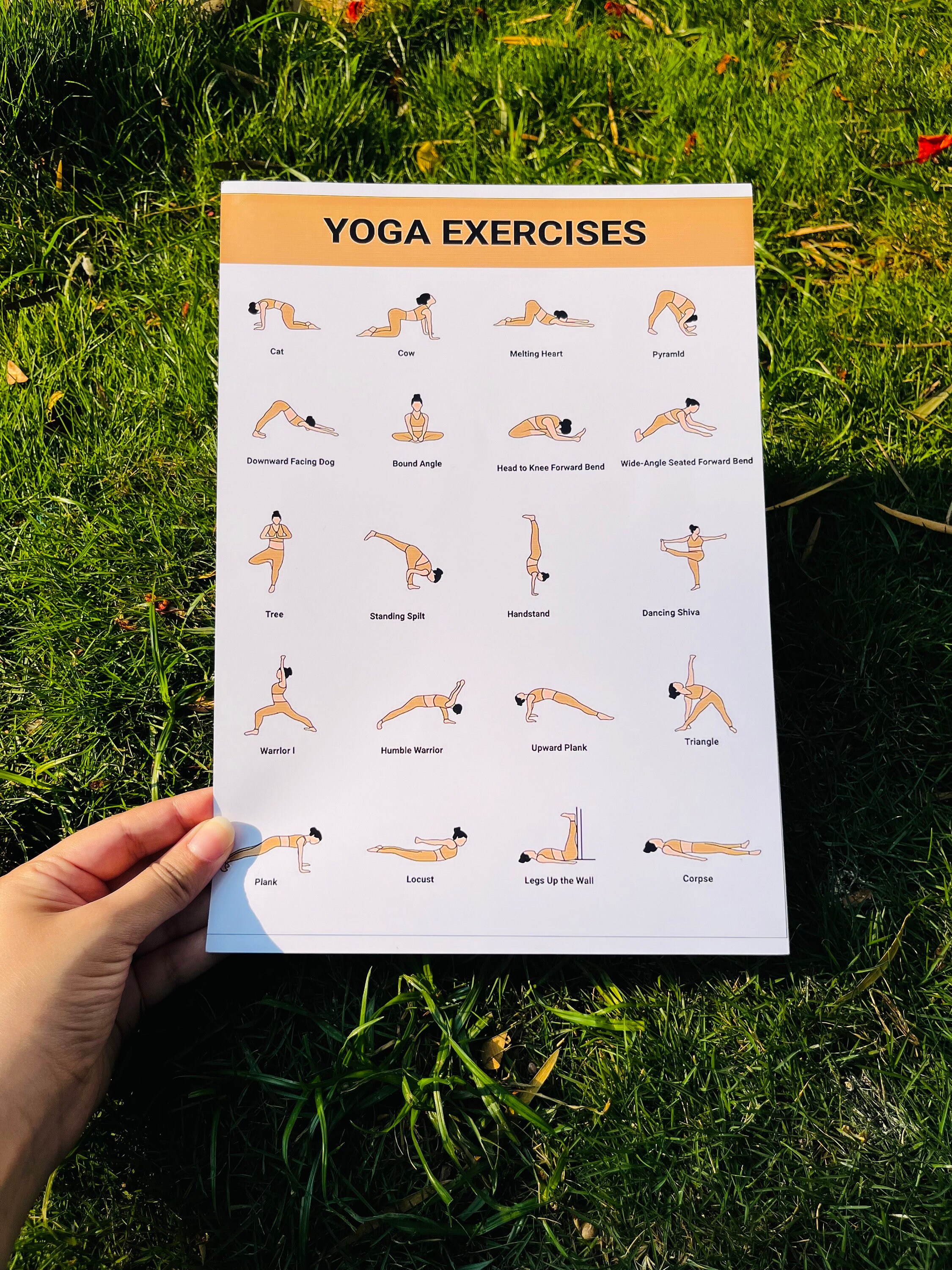 Yoga Exercises, Yoga Poses, Yoga Exercise Chart, Yoga Poses Chart, Yoga ...