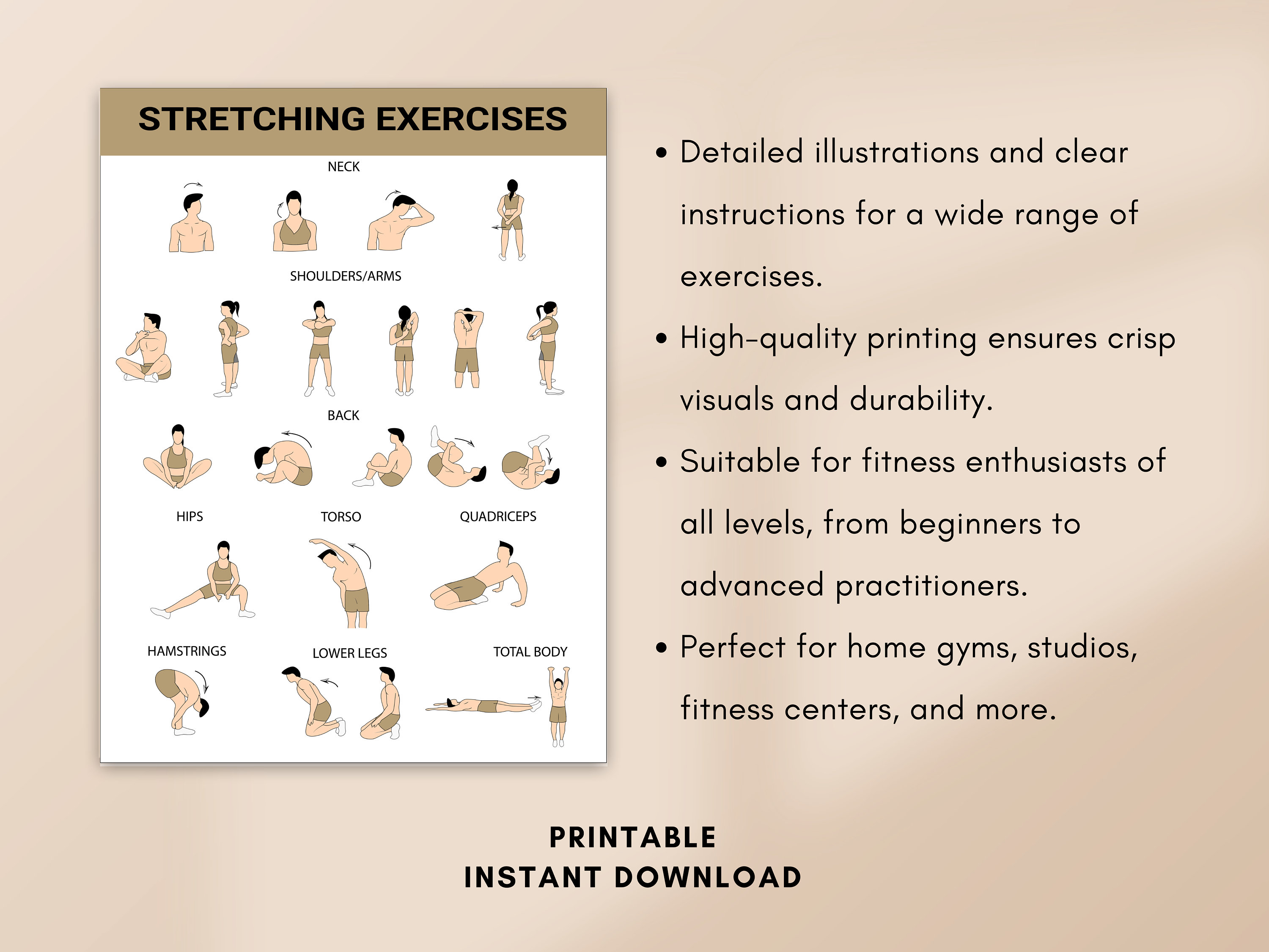 Stretching Exercises, Stretching Exercises Chart, Stretching Workout ...