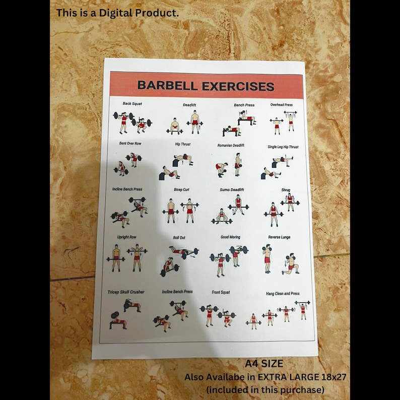 Barbell Workout Chart, Barbell Exercises, Fitness Print (digital ...
