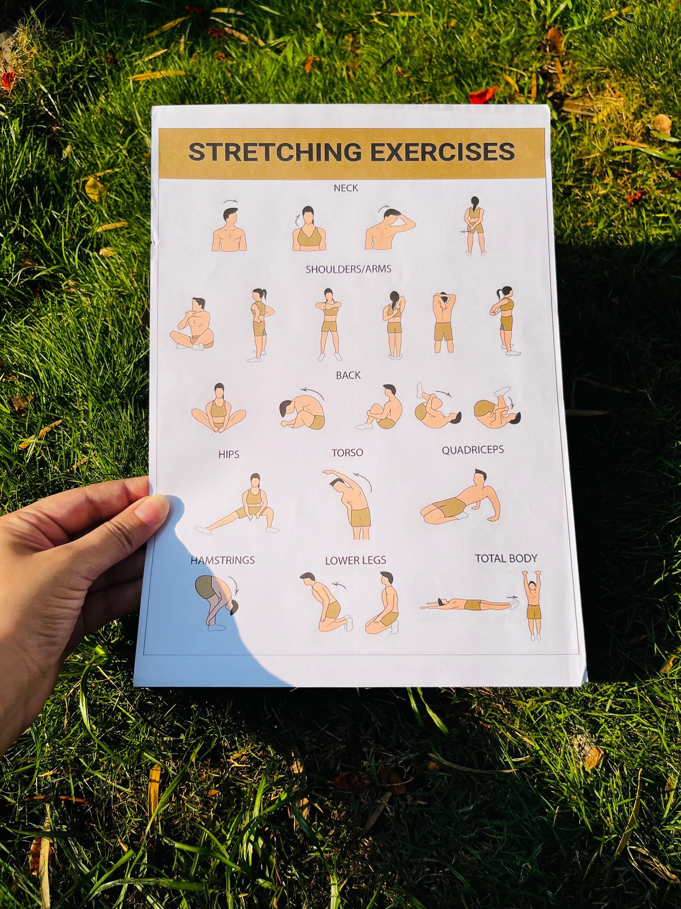 Stretching Exercises, Stretching Exercises Chart, Stretching Workout ...