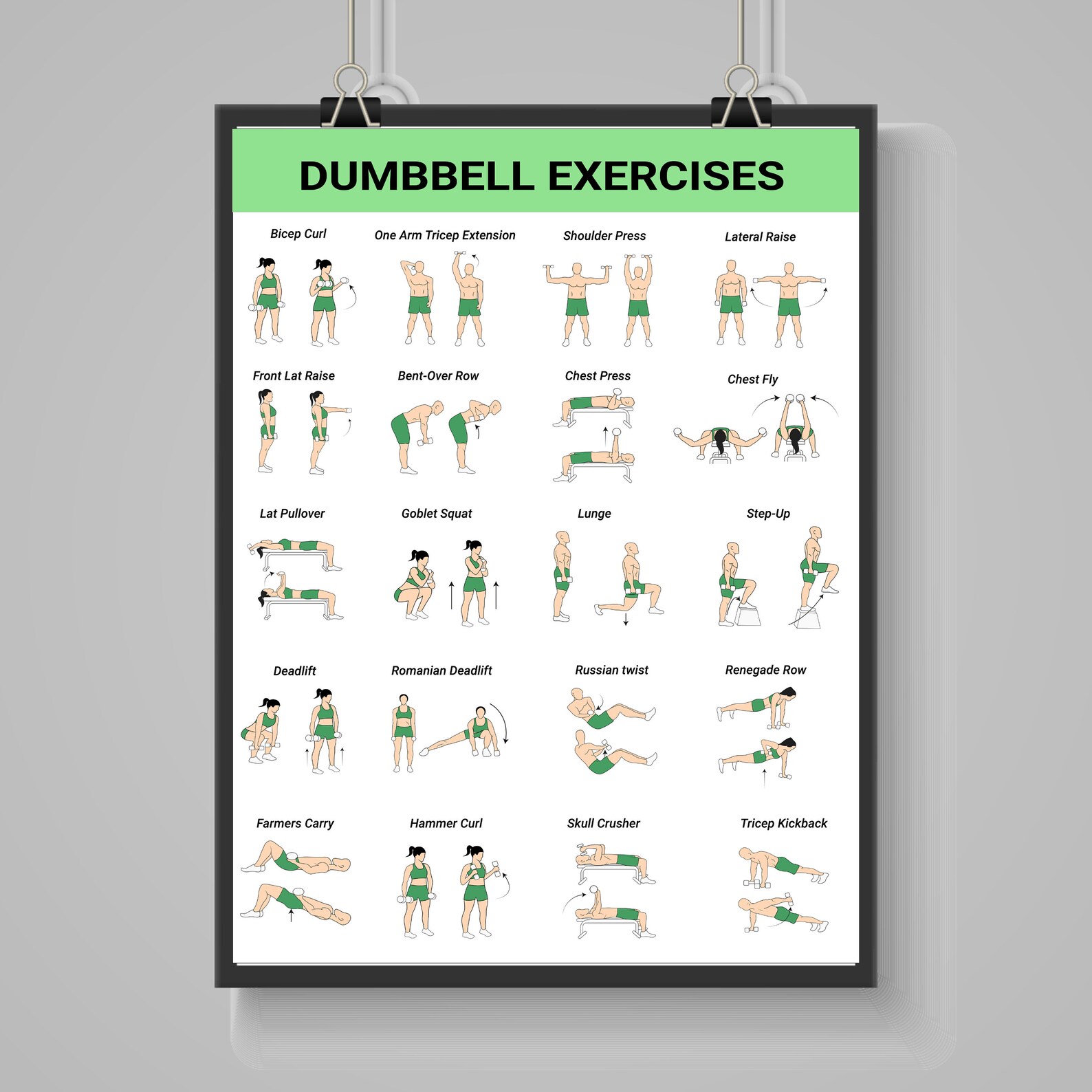 Dumbbell Workout, Dumbbell Workout Chart, Dumbbell Exercises, Dumbbell Exercise Chart, Dumbbell ...