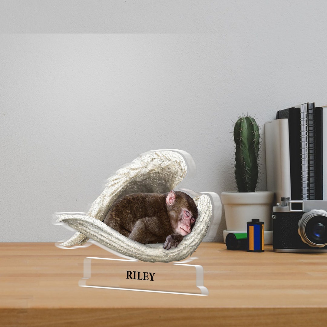 Personalized Monkey Angel Wings Acrylic Plaque, Monkey Acrylic Keepsake ...