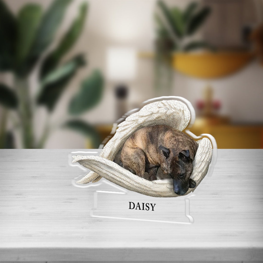 Personalized Brindle Staffy Dog Angel Wings Acrylic Plaque, Brindle ...