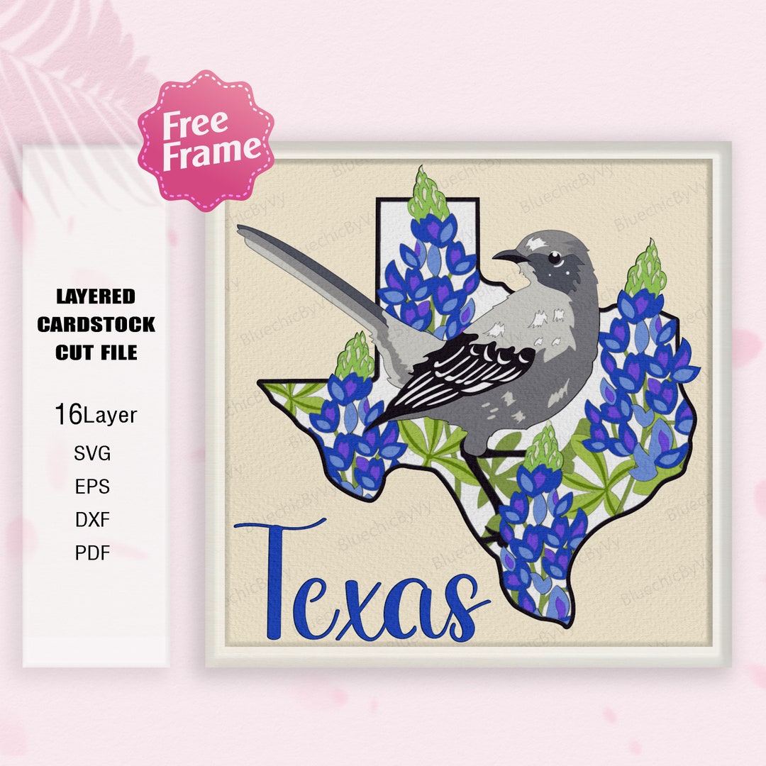 Texas Flower and Bird Shadow Box SVG, Mason Jar 3D Box, Texas State ...